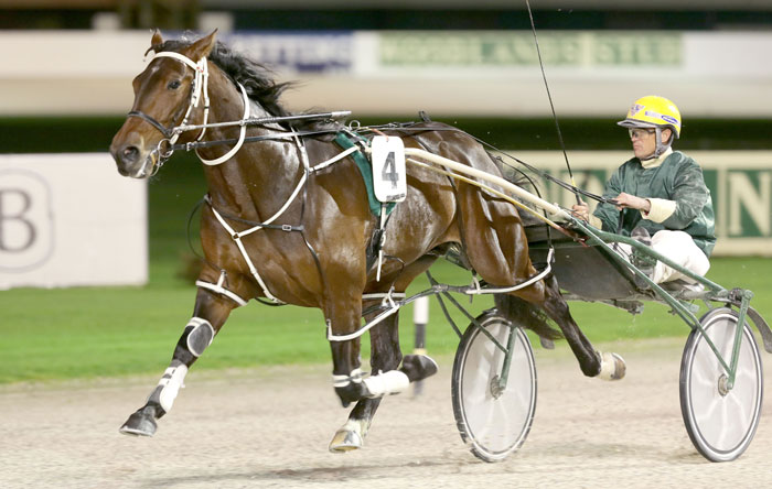 Australian Harness Racing Awards - Aust Horse of the Year