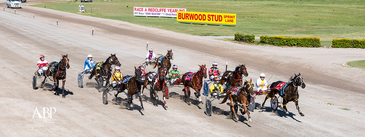 Home - Australian Harness Racing