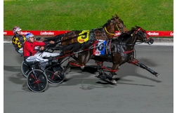 Australian Harness Racing