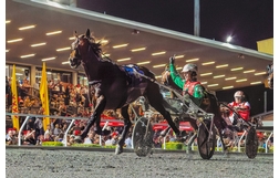 Australian Harness Racing