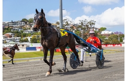 Queensland Harness Racing - Australian Harness Racing