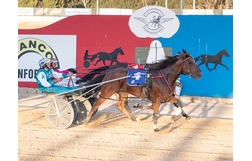 Australian Harness Racing