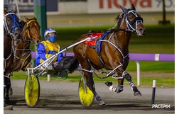 Australian Harness Racing