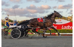 Australian Harness Racing