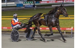 Australian Harness Racing