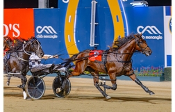 Australian Harness Racing