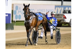 Australian Harness Racing