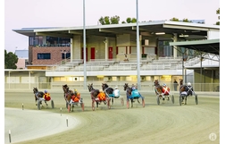 Australian Harness Racing
