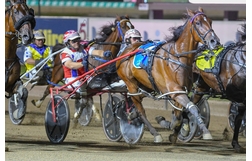Australian Harness Racing