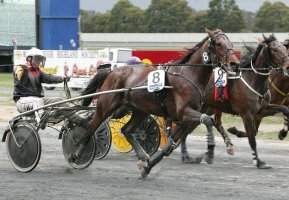 News Article - Australian Harness Racing