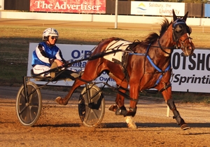 News Article - Australian Harness Racing