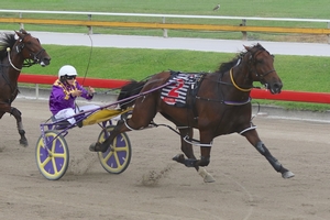 News Article - Australian Harness Racing