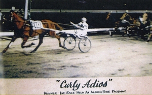 News Article - Australian Harness Racing