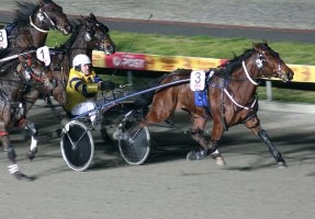 News Article - Australian Harness Racing