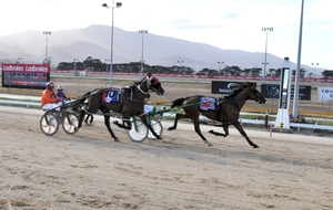 News Article - Australian Harness Racing