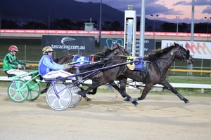 Stewards - Australian Harness Racing