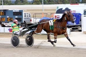 News Article - Australian Harness Racing