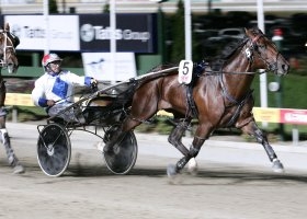 News Article - Australian Harness Racing