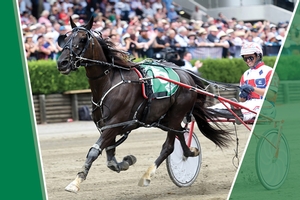 News Article - Australian Harness Racing