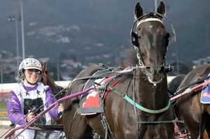 News Article - Australian Harness Racing