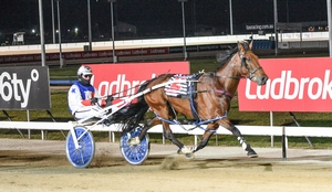 News Article - Australian Harness Racing
