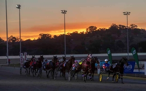 News Article - Australian Harness Racing