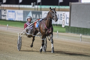 Stewards - Australian Harness Racing