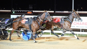 Top Stories - Australian Harness Racing