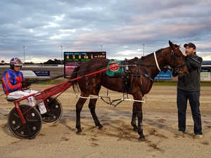 News Article - Australian Harness Racing