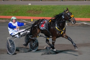 News Article - Australian Harness Racing