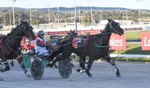 News Article - Australian Harness Racing