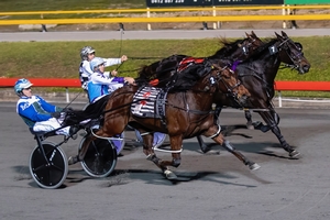 News Article - Australian Harness Racing