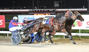 News Article - Australian Harness Racing