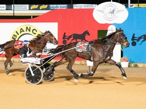 News Article - Australian Harness Racing
