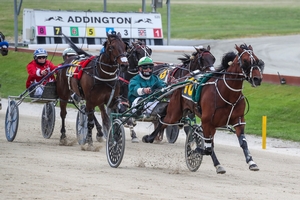 News Article - Australian Harness Racing