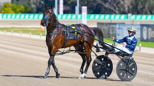 News Article - Australian Harness Racing