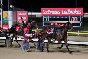 Top Stories - Australian Harness Racing