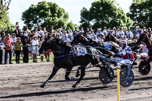 News Article - Australian Harness Racing