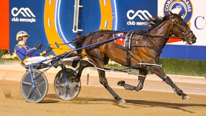 News Article - Australian Harness Racing