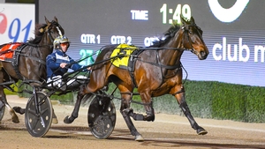 News Article - Australian Harness Racing