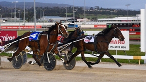 News Article - Australian Harness Racing