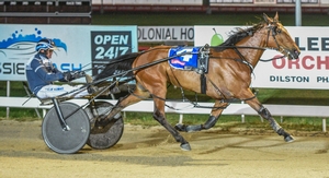 News Article - Australian Harness Racing