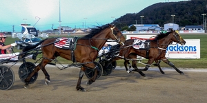 News Article - Australian Harness Racing