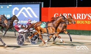 News Article - Australian Harness Racing