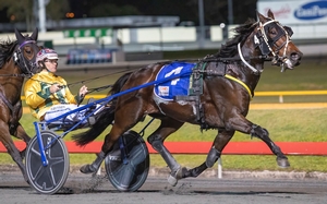 News Article - Australian Harness Racing