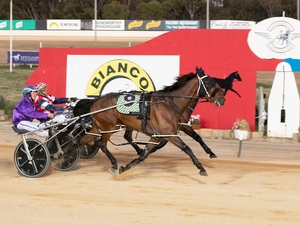 News Article - Australian Harness Racing
