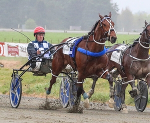 News Article - Australian Harness Racing