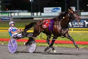 News Article - Australian Harness Racing