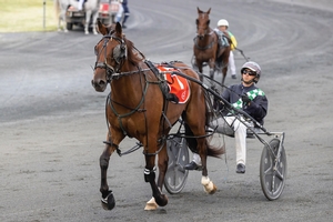 News Article - Australian Harness Racing