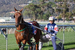 News Article - Australian Harness Racing